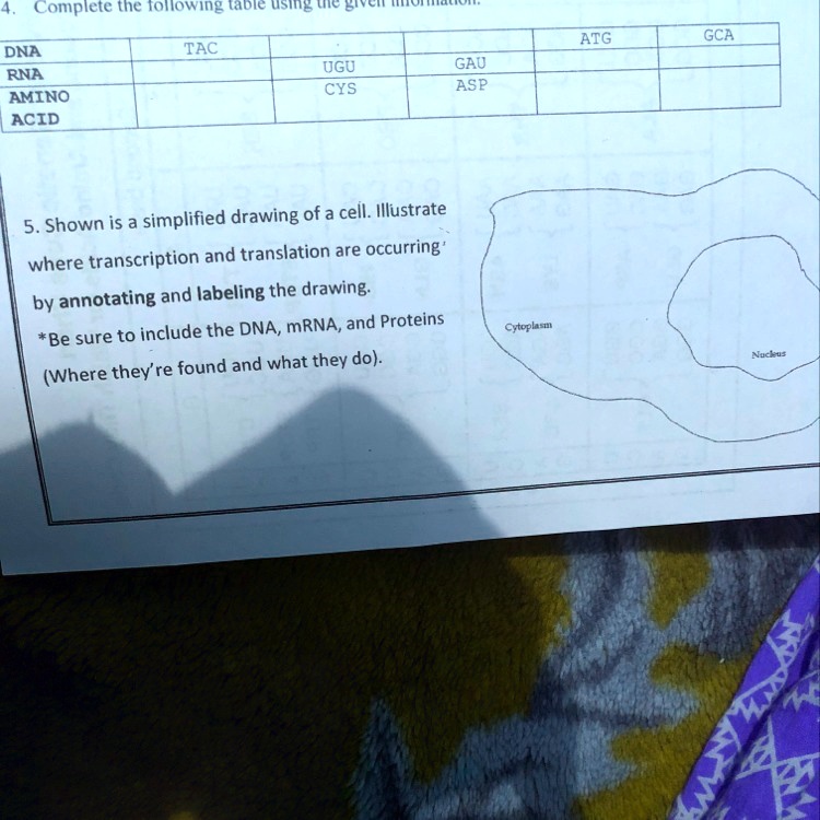 How do you answer this? Please help. Complete the following table using ...