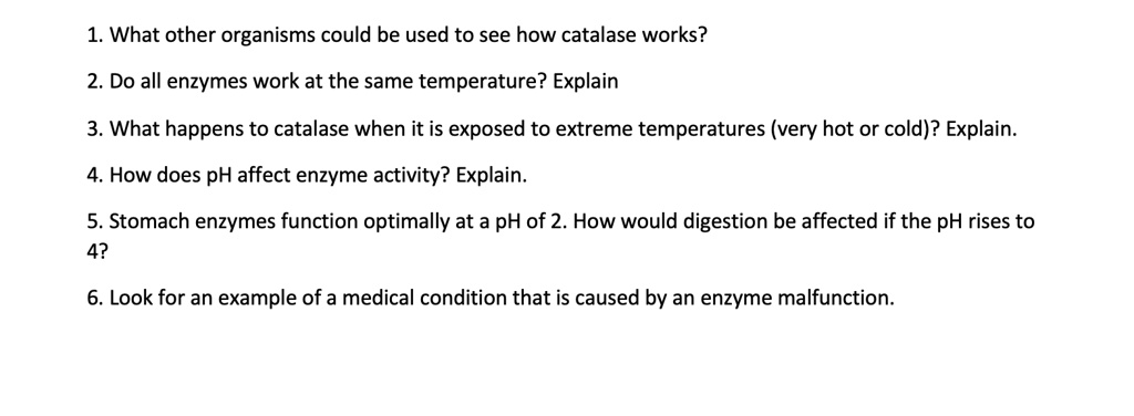 SOLVED: 1. What other organisms could be used to see how catalase works ...