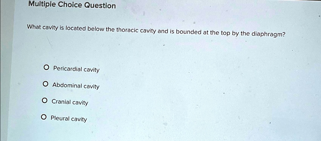 SOLVED: Multiple Choice Question What cavity is located below the ... SOLVED: Multiple Choice Question What cavity is located below the ...