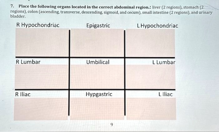 7. Place the following organs located in the correct abdominal region ...