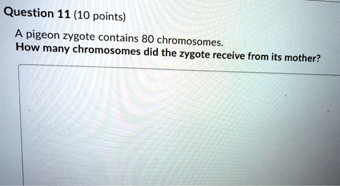 SOLVED: Question 11 (10 points) Apigeon zygote contains 80 chromosomes ...
