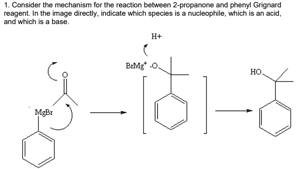 consider the mechanism for the reaction between 2 propanone and phenyl ...