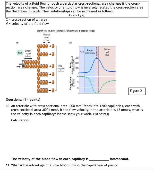 SOLVED: The velocity of a fluid flow through a particular cross-sectional area changes if the ...