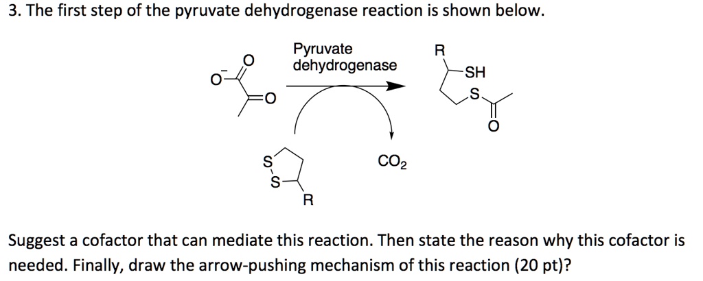 SOLVED:3. The first step of the pyruvate dehydrogenase reaction is ...