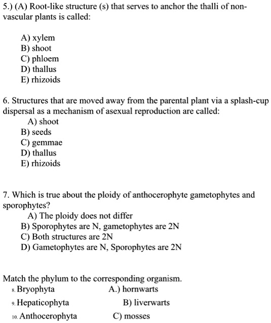5 a root like structure s that serves t0 anchor the thalli of non ...