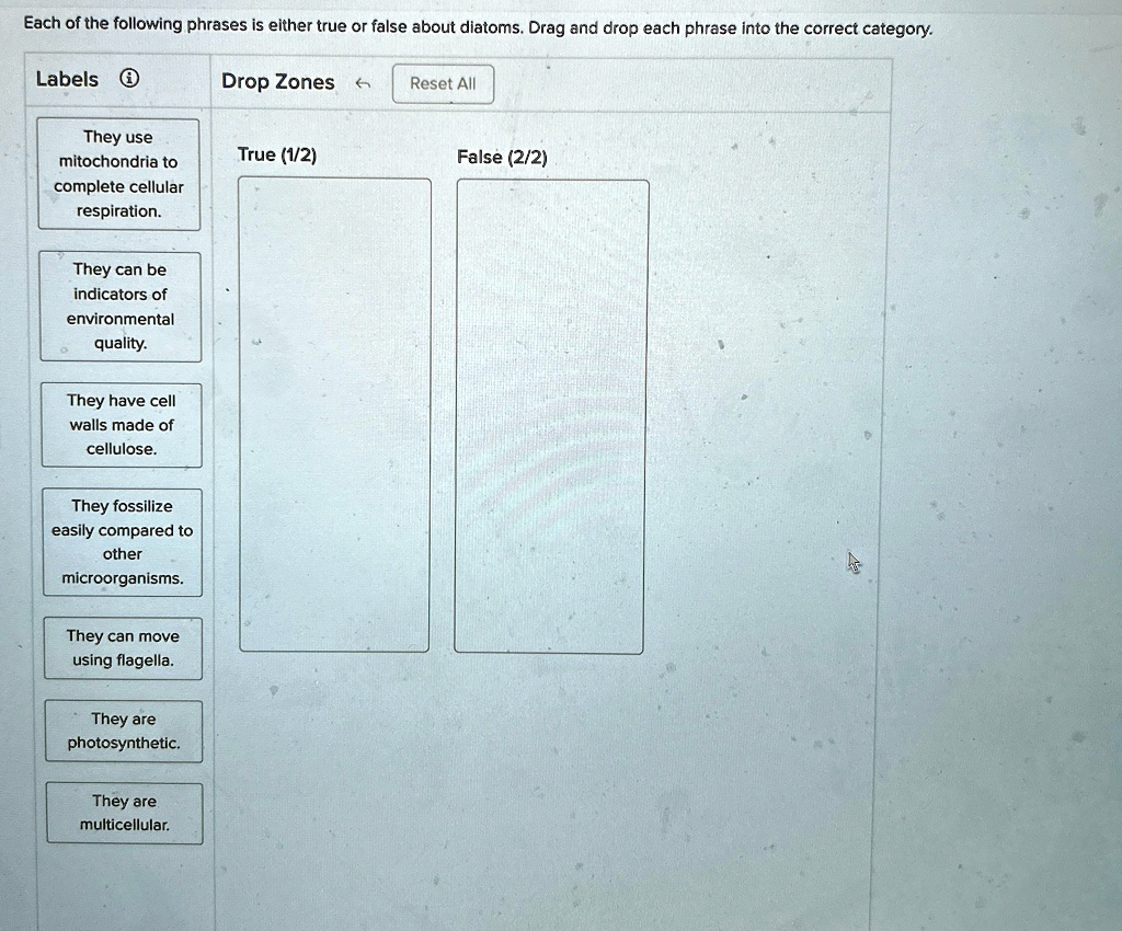 each of the following phrases is either true or false about diatoms drag and drop each phrase ...