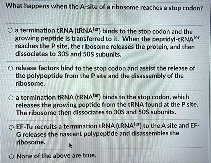 SOLVED: What happens when the A-site of a ribosome reaches a stop codon ...