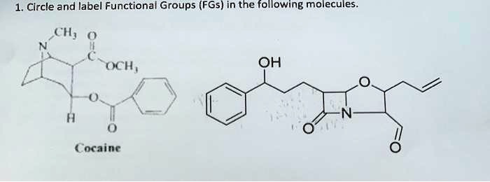 SOLVED: Circle and label Functional Groups (FGs) in the following ...