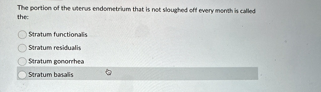 The portion of the uterus endometrium that is not sloughed off every ...