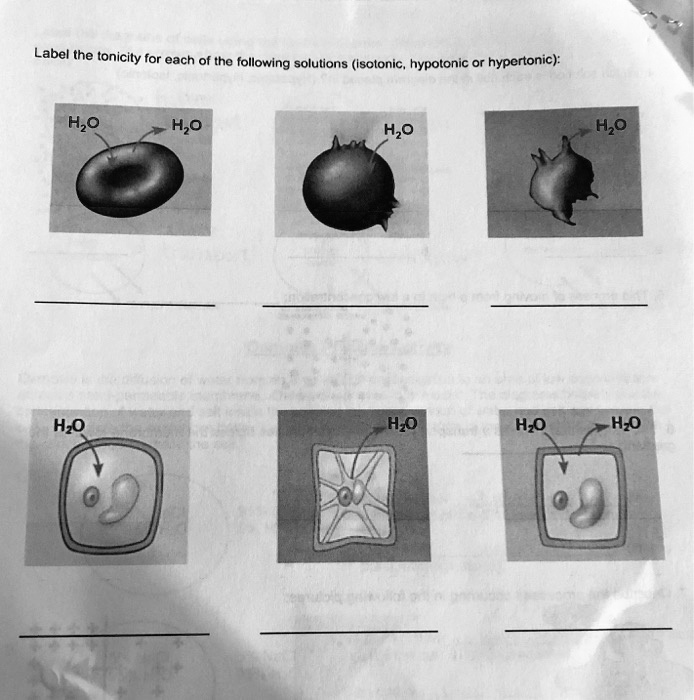 label the tonicity for each of the following solulions isotonic ...