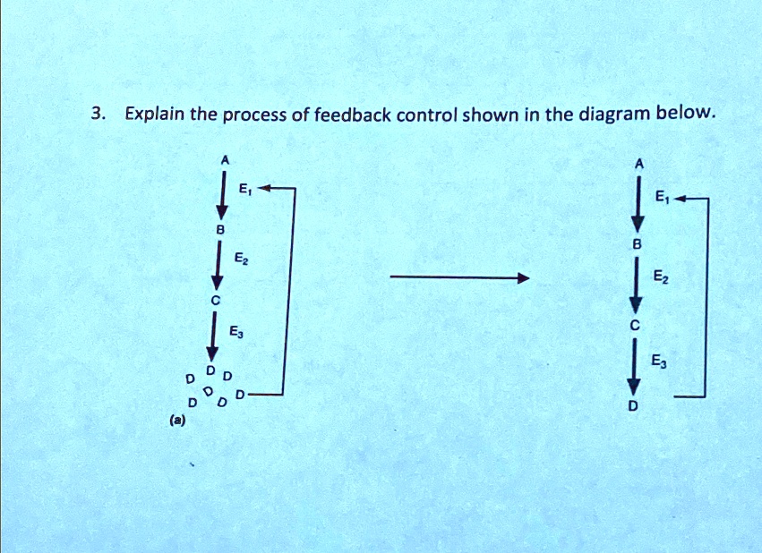 explain the process of feedback control shown in the diagram below 3 ...