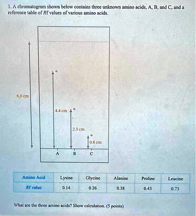 A chromatogram shown below contains thrce unknown amino...