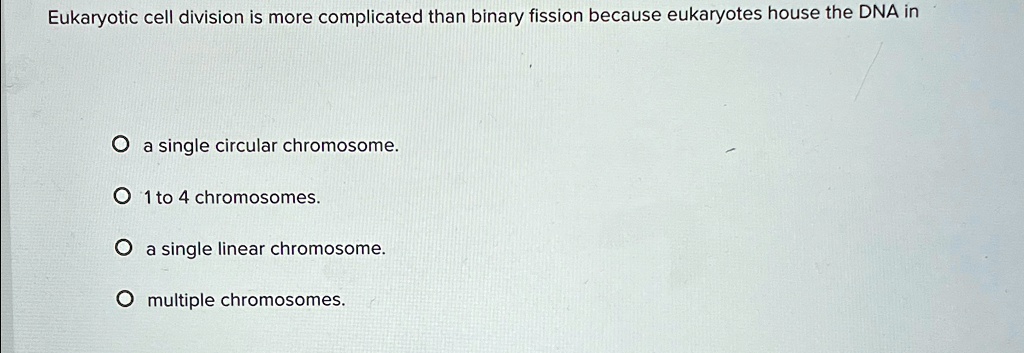eukaryotic cell division is more complicated than binary fission ...