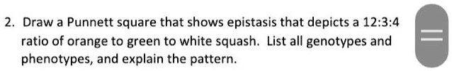 Draw A Punnett Square That Shows Epistasis That Depic Solvedlib