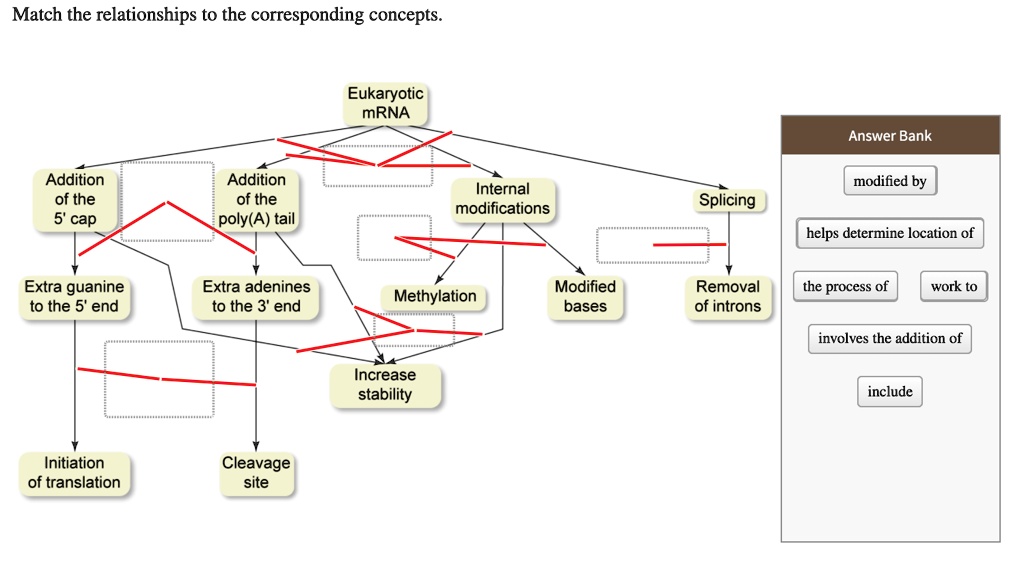 Match the relationships to the corresponding concepts. Addition of the ...