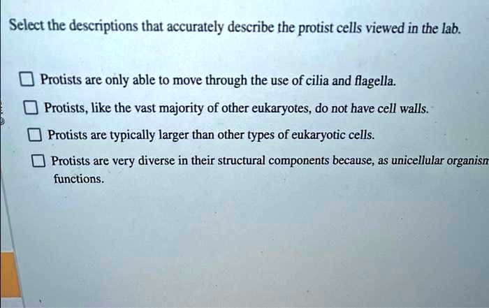 select the descriptions that accurately describe the protist cells ...