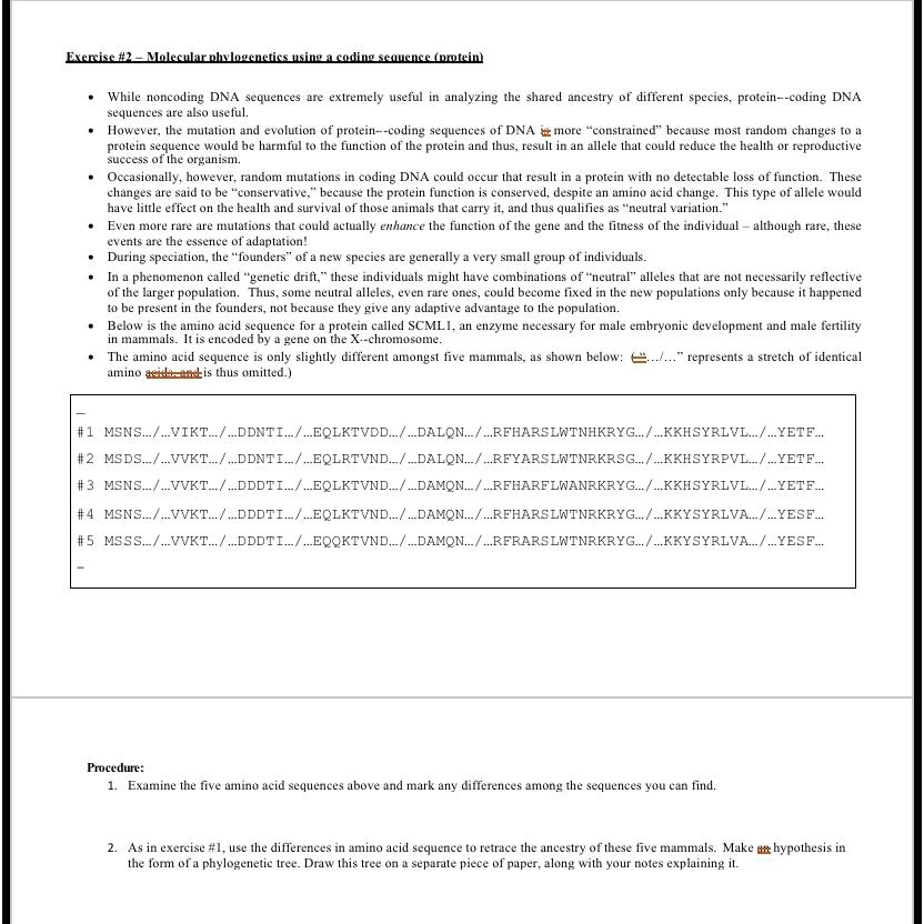 Solved Exercise 2 Molecular Phylogenetics Using A Coding Sequence 6438