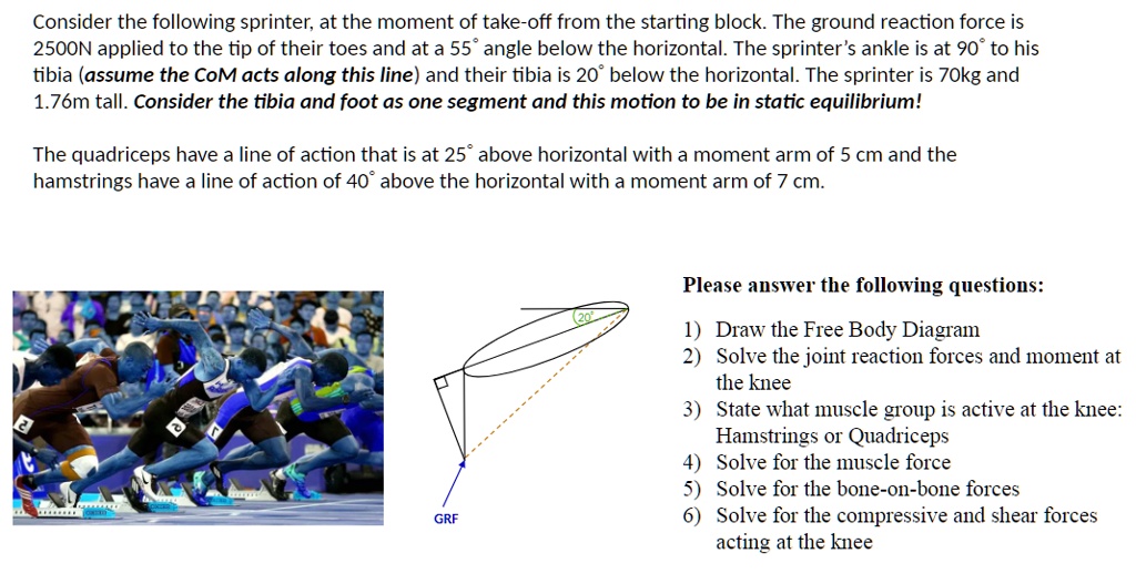 SOLVED: Consider the following sprinter at the moment of take-off from ...