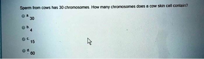 Sperm from cows has 30 chromosomes. How many chromosomes does a cow ...