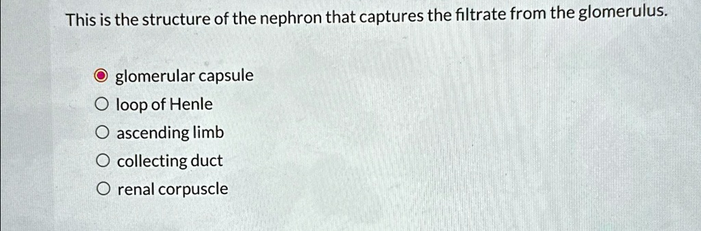 SOLVED: This is the structure of the nephron that captures the filtrate ...
