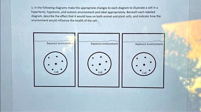 1. In the following diagrams make the appropriate changes to each ...