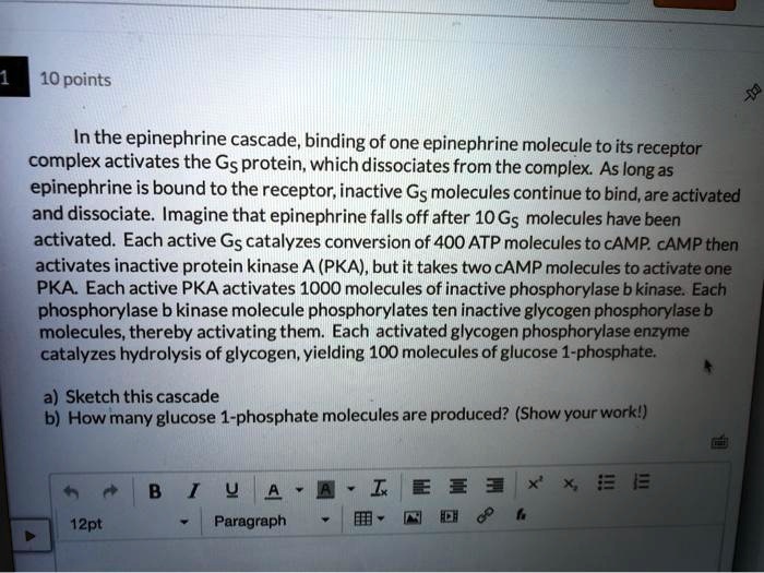 10 pointsIn the epinephrine cascade, binding of one e… - SolvedLib