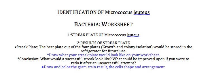 SOLVED:IDENTIFICATION OF Micrococcus leuteus BACTERIA: WORKSHEET 1 ...