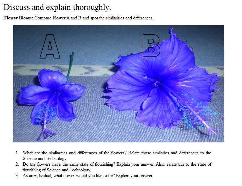 SOLVED: Discuss and explain thoroughly. Flower Bloom: Compare Flower A ...