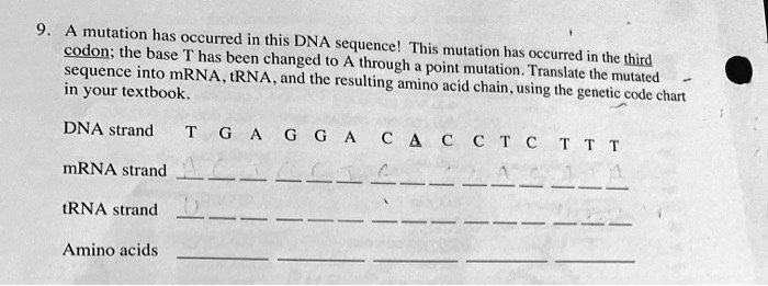 SOLVED: A mutation has occurred in this DNA codon; the base T has been changed to C. This ...