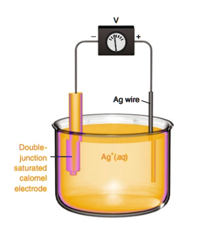SOLVED: Ag wire Double- junction saturated calomel electrode Ag (aq)
