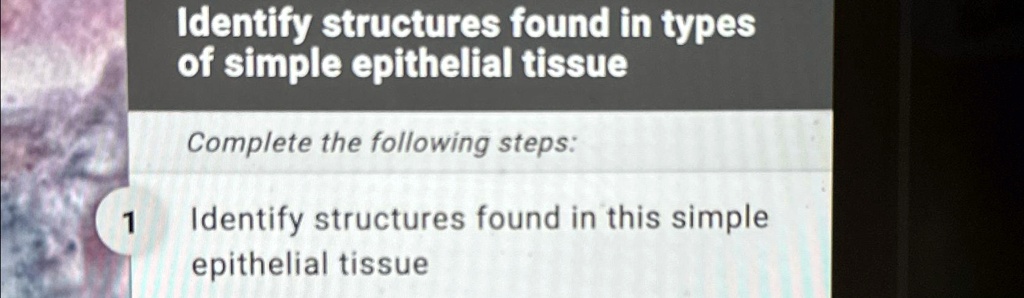 SOLVED: Identify structures found in types of simple epithelial tissue ...