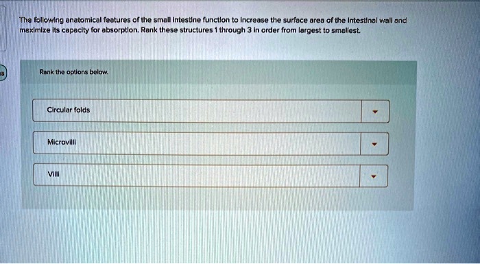 [GET ANSWER] The following anatomical features of the small intestine ...