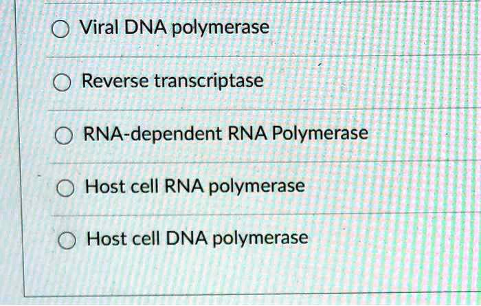 SOLVED: Viral DNA polymerase Reverse transcriptase RNA-dependent RNA ...