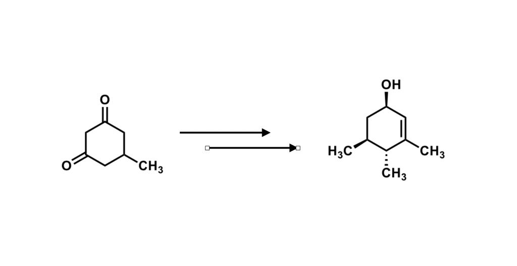 SOLVED: OH CH3 CH3 H3C - CH3