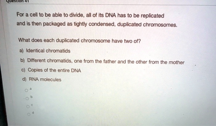SOLVED: Queslion = For a cell to be able to divide, all of its DNA has ...