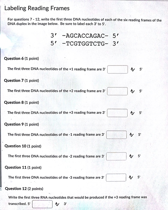 Labeling Reading Frames For questions 7-12, write the first three DNA ...