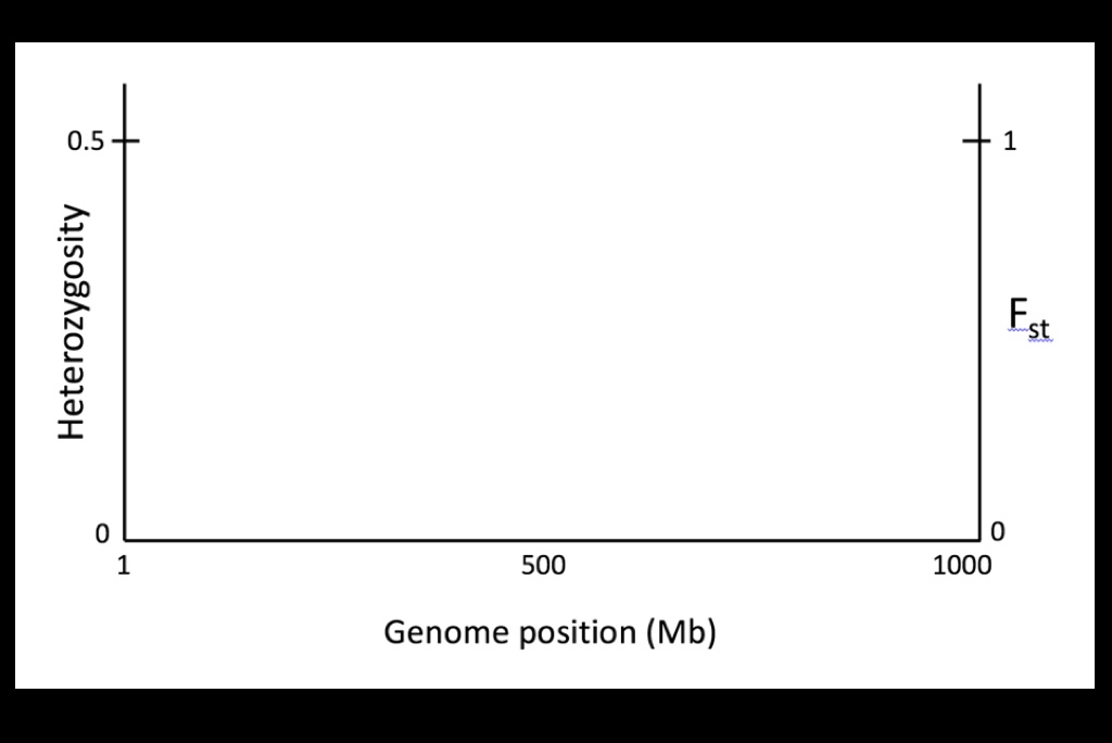 SOLVED: 0.5 | Fst 500 1000 Genome position (Mb)