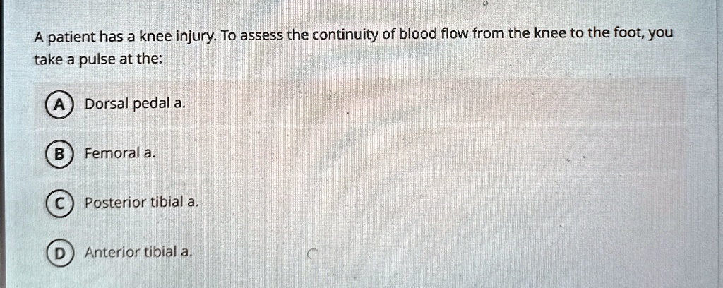 a patient has a knee injury to assess the continuity of blood flow from ...