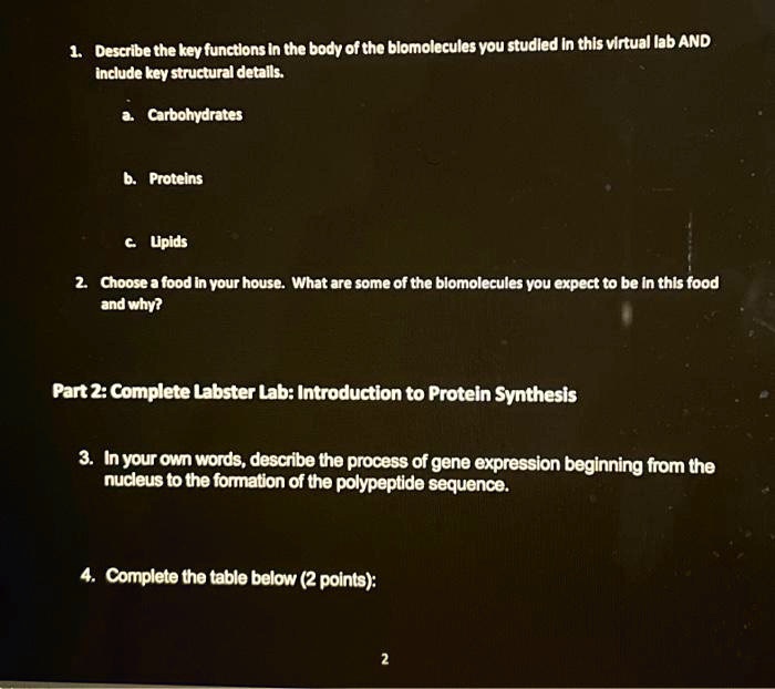 1. Describe the key functions in the body of the biomolecules you ...