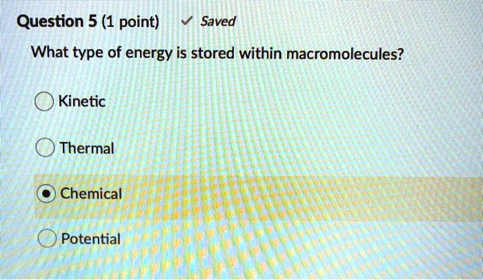 SOLVED: Question 5 (1 point) Saved What type of energy is stored within ... SOLVED: Question 5 (1 point) Saved What type of energy is stored within ...