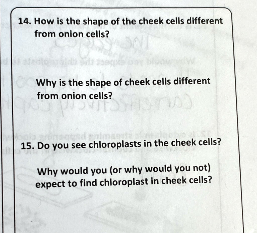 How is the shape of the cheek cells different from onion cells? Why is ...