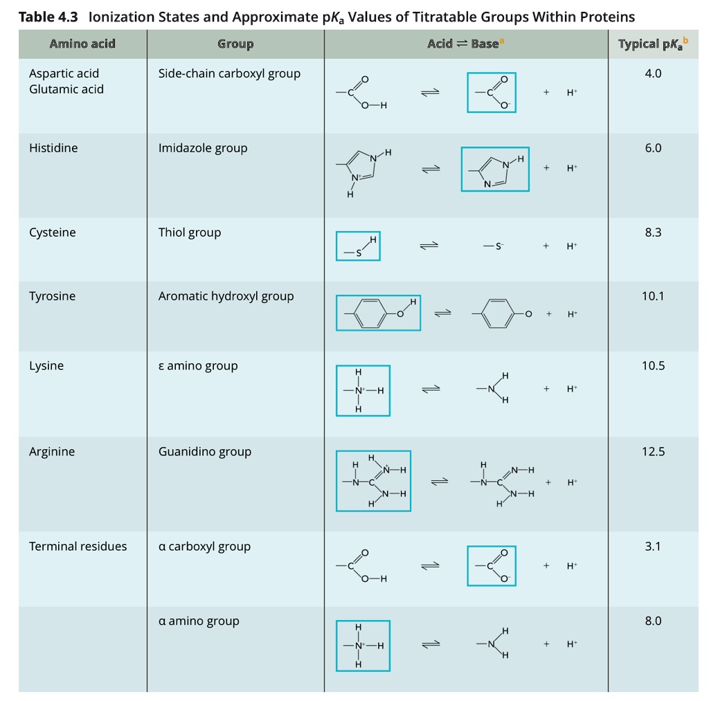 Table 4.3 Ionization States and Approximate pKa Values of Titratable ...