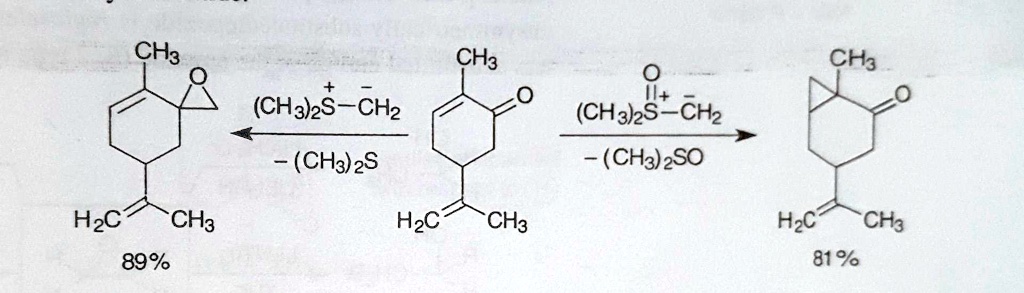 SOLVED: Give a mechanism for the formation of two different products ...