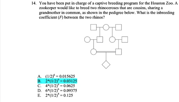 SOLVED: You have been put in charge captive breeding program for the ...