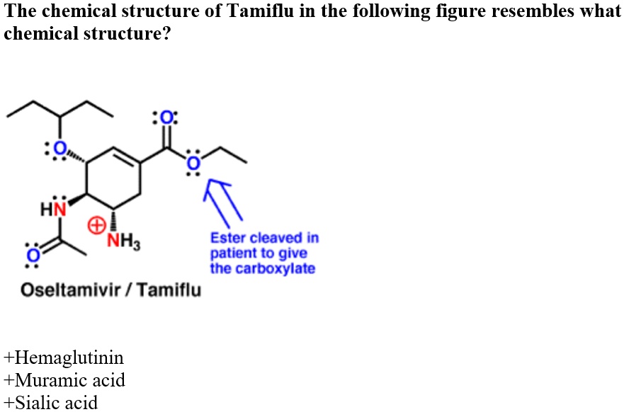 the chemical structure of tamiflu in the following figure resembles ...