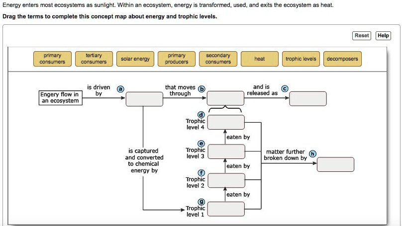 SOLVED: Energy enters most ecosystems as sunlight. Within an ecosystem ...
