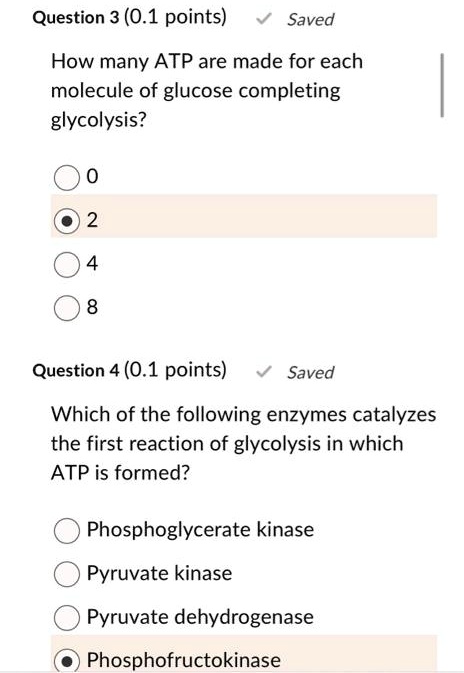 SOLVED: Question 3 (0.1 points) How many ATP are made for each molecule ...