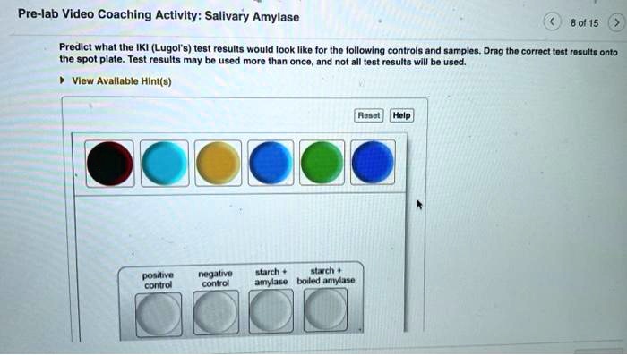 pre lab video coaching activitysalivary amylase 8of15 predict what the ...