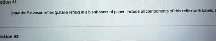 SOLVED: Draw the Extensor reflex (patellar reflex) on a blank sheet of ...