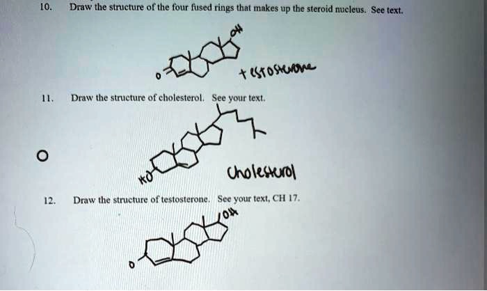 SOLVED: Draw the structure of the four fused rings that makes up the ...